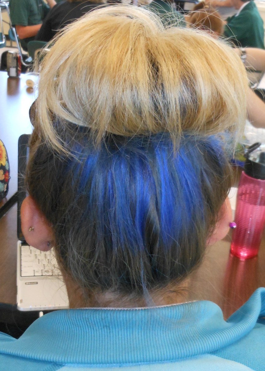 Students required to remove eccentric hair colors – The McNicholas ...