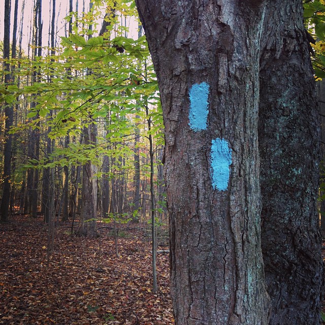 Rolling hills and rough terrain; an overview of Ohio’s Buckeye Trail ...