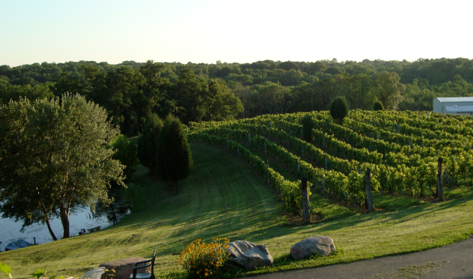 How to see the world within Cincinnati: A guide to at-home exploration ...