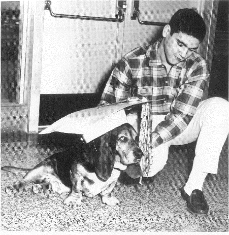Late dog brings joy to 1960s McNicholas students – The McNicholas Milestone