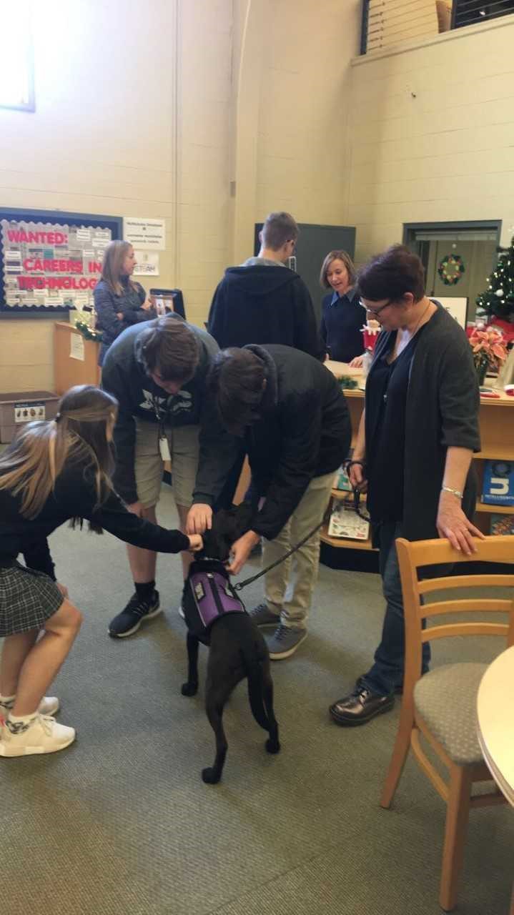 Therapy dogs help relieve student anxiety – The McNicholas Milestone