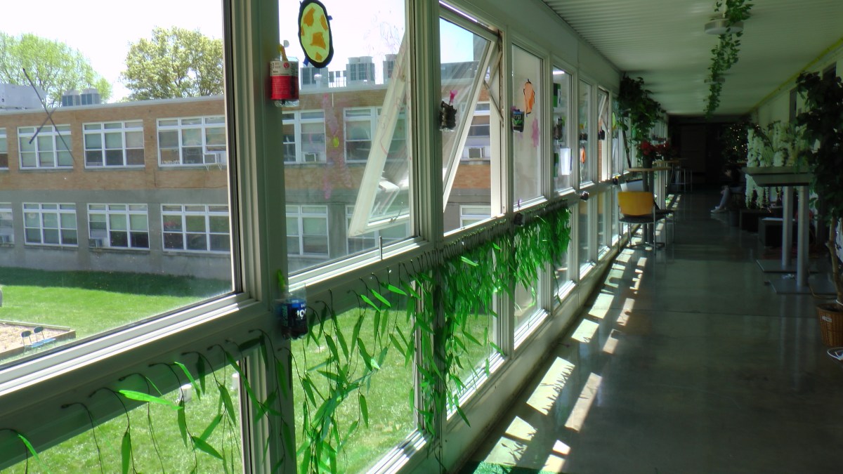 McNick Celebrates their Second Earth Day With Mr. Hickman – The ...