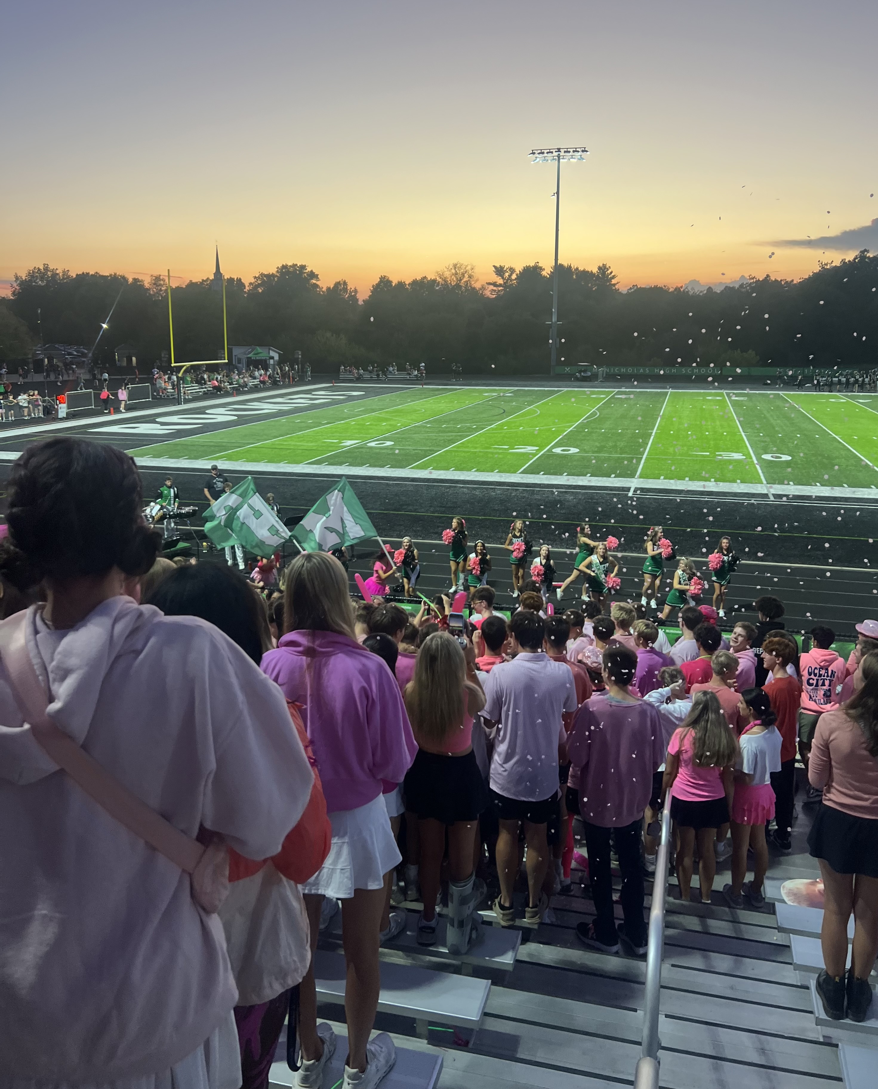 Finding their footing; Freshman athletes share their season experiences ...